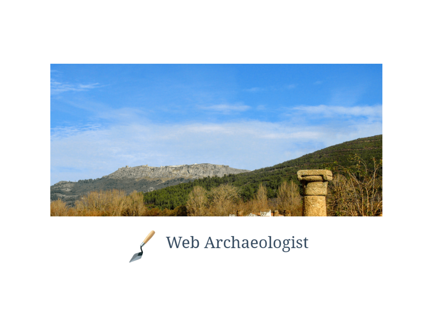 Web Archaeologist